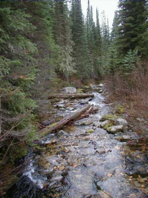 (Return Home) (Return To Scenic Idaho Pictures Menu) (Next)