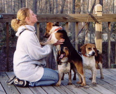 Dismal Swamp Beagle Pics