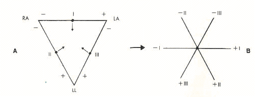 DEFINITION AND GENERALITY