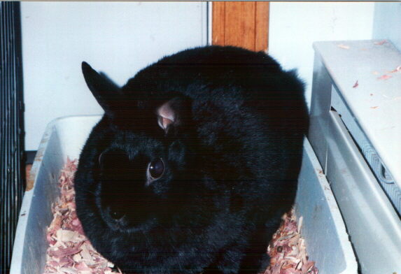 Welcome To My Photo Page!