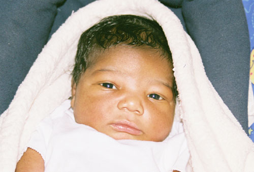 Life and Times of the Original KittKatt