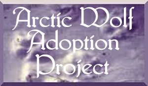 Arctic Wolf Adoption Project