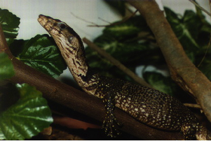 The Townsend Family Page